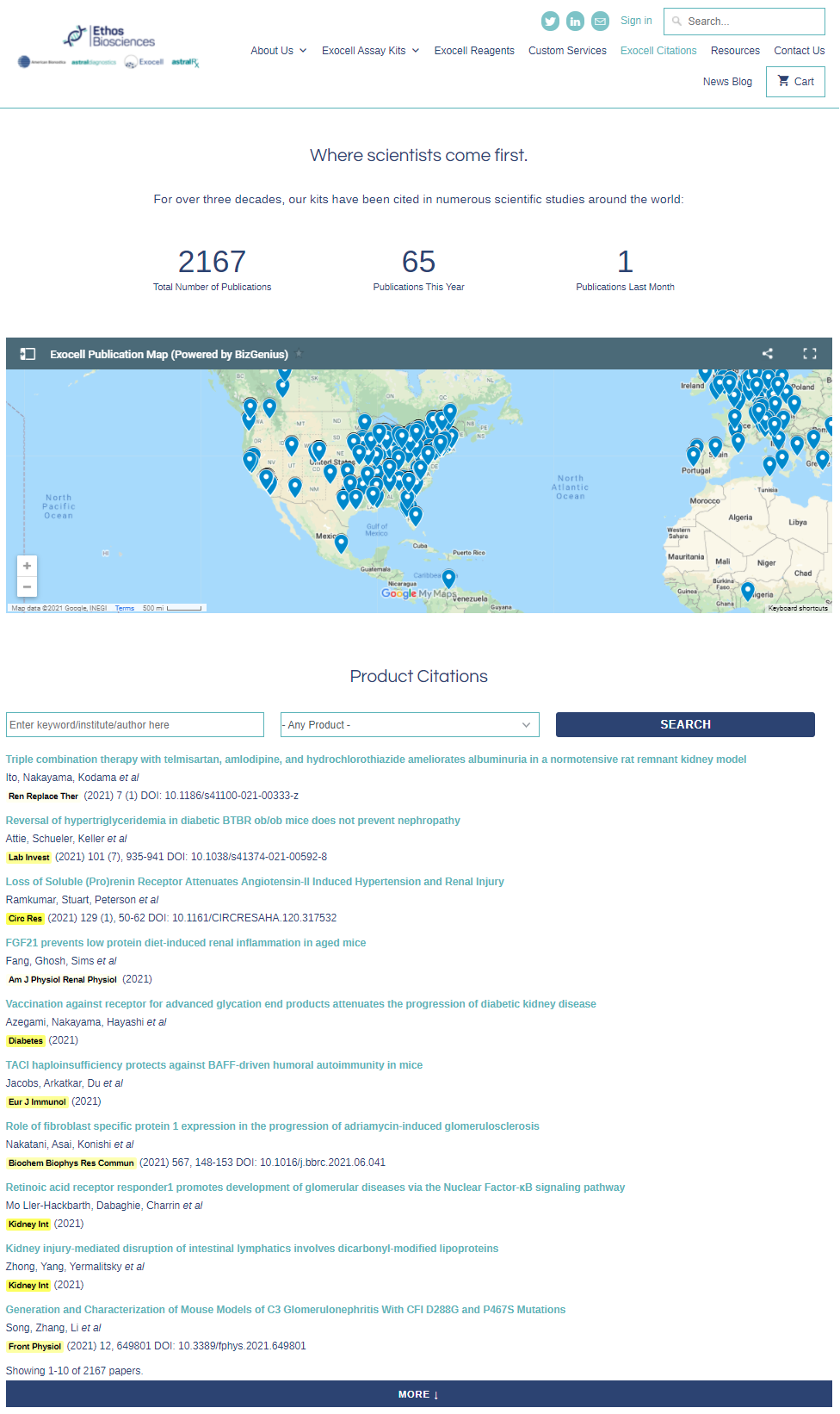 Styling citation list, examples | BizGenius