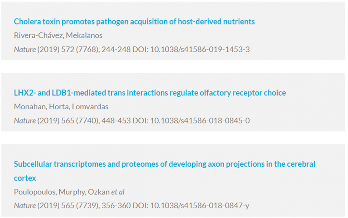 Styling your citation library, code examples | BizGenius